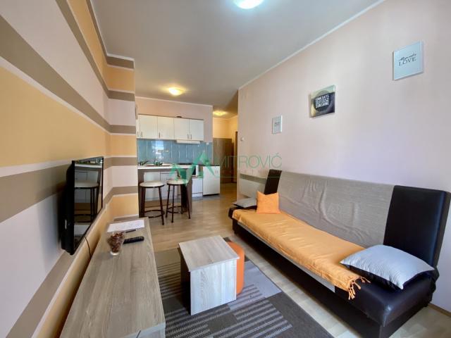 Izdavanje, Stan, 25m2 , Centar