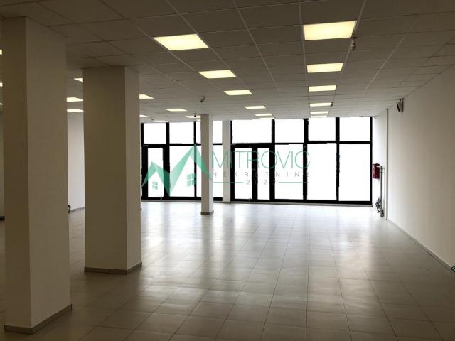 Izdavanje, Poslovni prostor, 330m2 , Grbavica - Telep