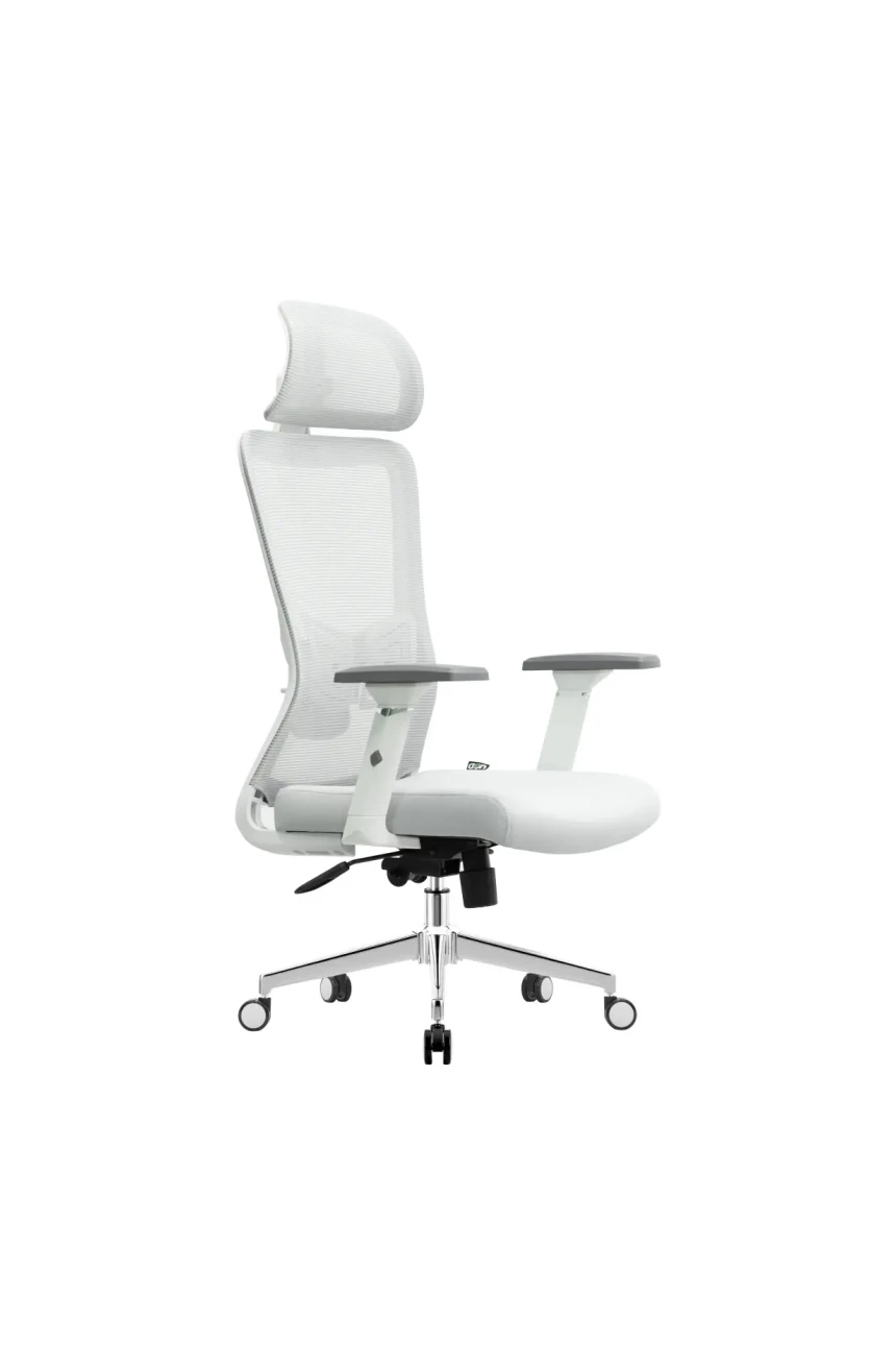 Ergonomska kancelarijska stolica UGD Silver Polare