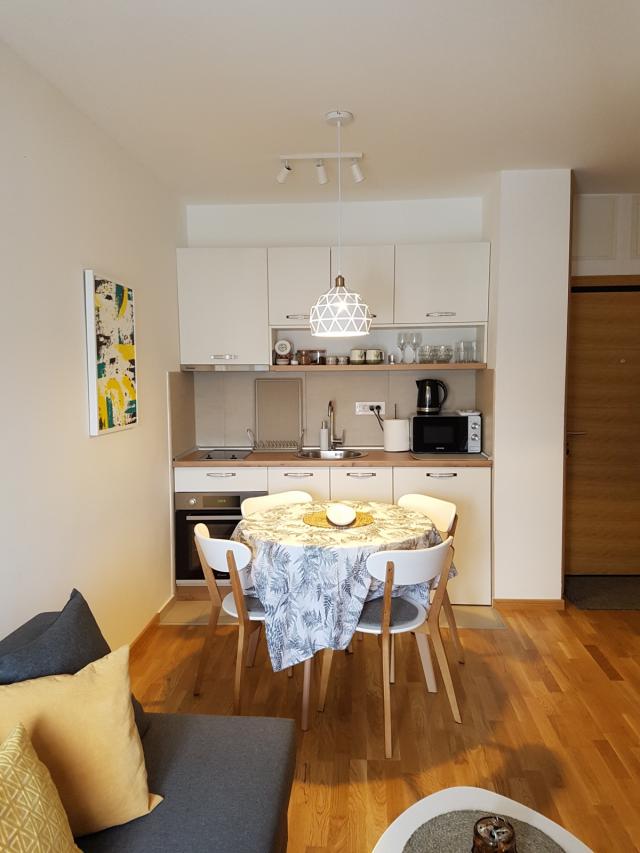 Apartman na Zlatiboru, vlasnik