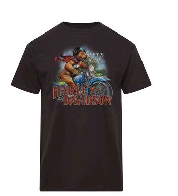 MUSKA MAJICA HARLEY-DAVIDSON SRBIJA 40294635