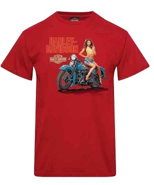 MUSKA MAJICA HARLEY-DAVIDSON SRBIJA 40294633