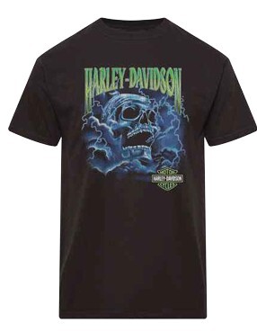 MUSKA MAJICA HARLEY-DAVIDSON SRBIJA 40294601