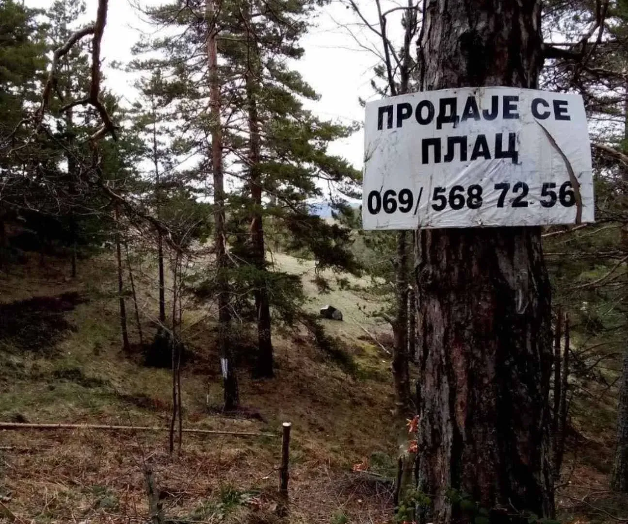 Prodaja, plac, 850m², Divčibare, Valjevo