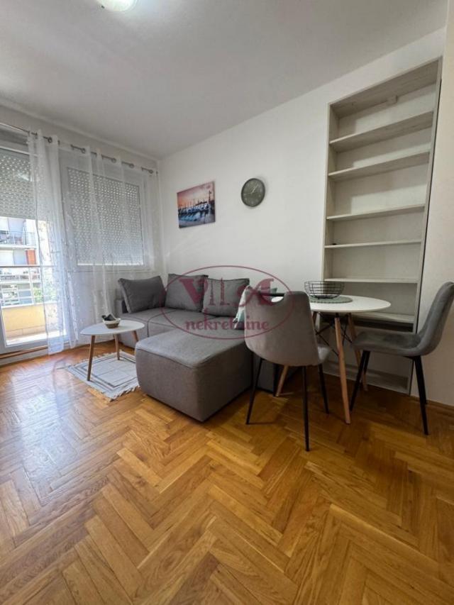 Novi Sad, Detelinara, kompletno opremljena garsonjera sa zakupcem