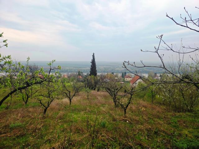 VIKENDICA U STAROM SLANKAMENU, POGLED NA DUNAV
