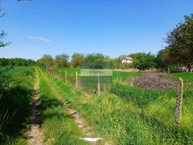 Plac u Vinorači, Jagodina, 19.32 a
