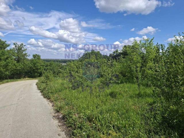 Gradjevinsko zemljište sa pogledom na Dunav
