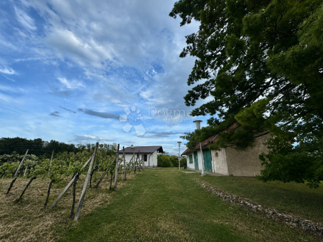 Zagorska idila na Vinica Bregu – dvije kuće, mir i priroda