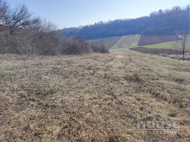 ČORTANOVCI - ČORTANOVCI - 2200.00 m2