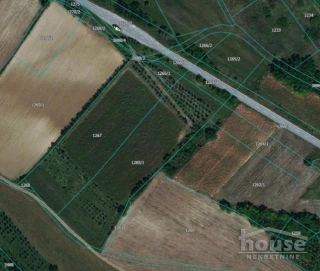 BEOČIN - BEOČIN - 16410.00 m2
