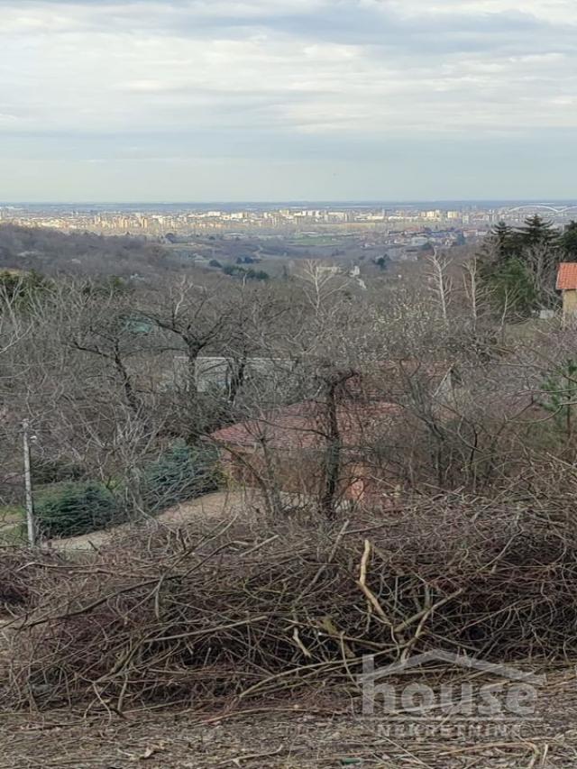 SREMSKA KAMENICA - ARTILJEVO - 813.00 m2