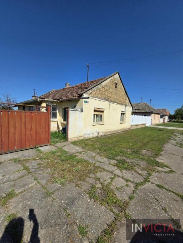 Ruševna kuća sa velikim placem, Bečej-Radičević