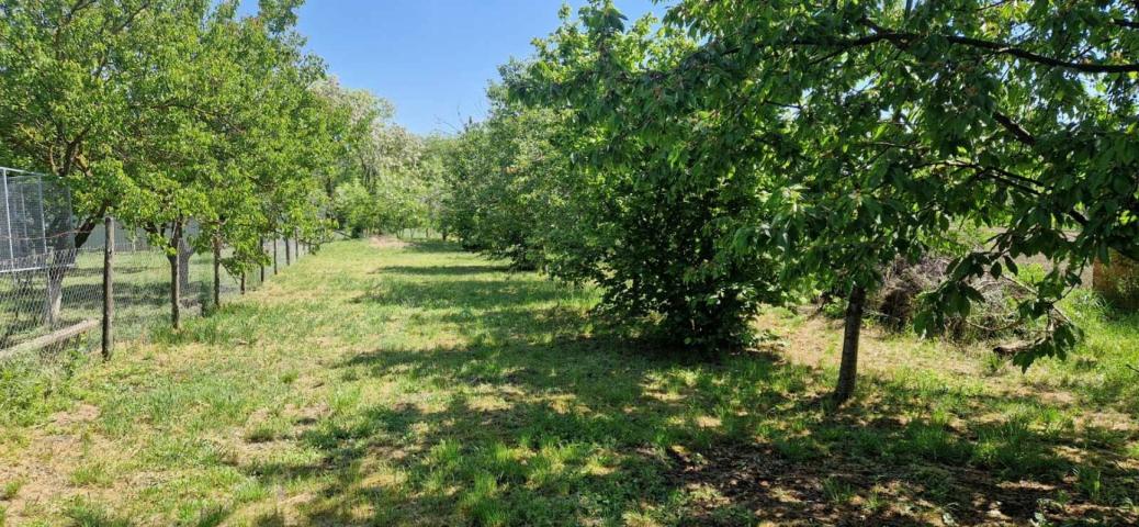 MZ Peščara, kuća sa placem 10,51a, 80m², 40.000€