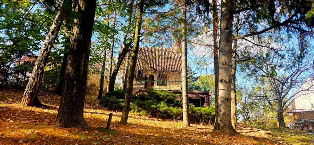 VIKENDICA NA FRUŠKOJ GORI, LEDINCI- LIPARIJE 2