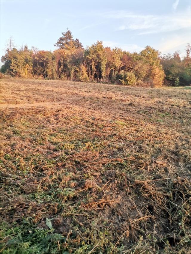 VOZDOVAC PRNJAVOR 1900m2 , 19a ,41790e