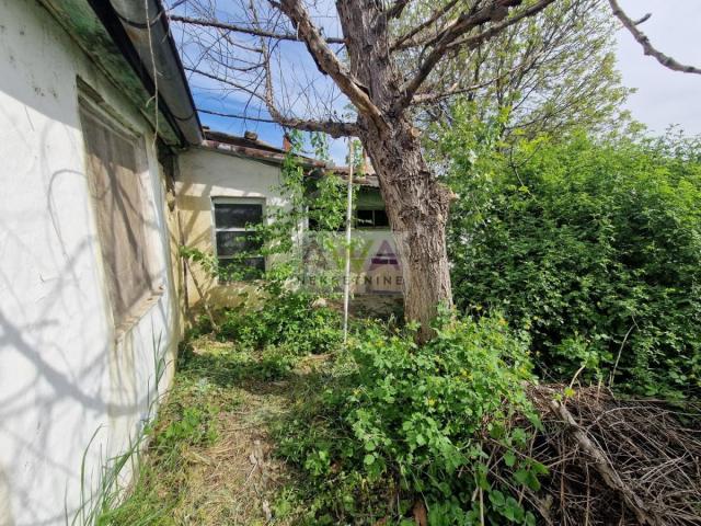 Bezdan. Kuća 91m2, plac 18ar