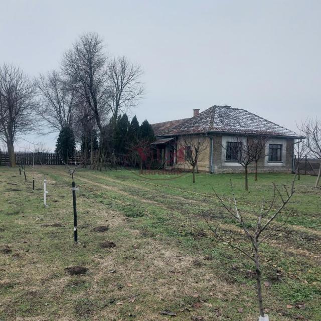 Srbobran - Bečej, Salaš sa izlazom na Beljansku baru i 6.9 kJ poljoprivrednog zemljišta