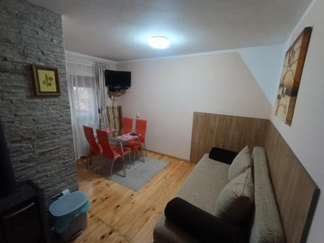 Planinska kuća sa dva apartmana, plac 10 ari, ski staza “Centar”, Divčibare