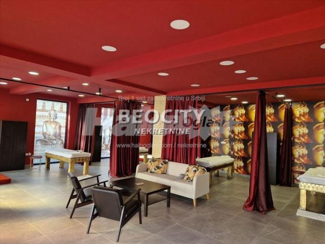 Savski venac, Senjak, Vase Pelagića, 1.0, 318m2, 1200000EUR