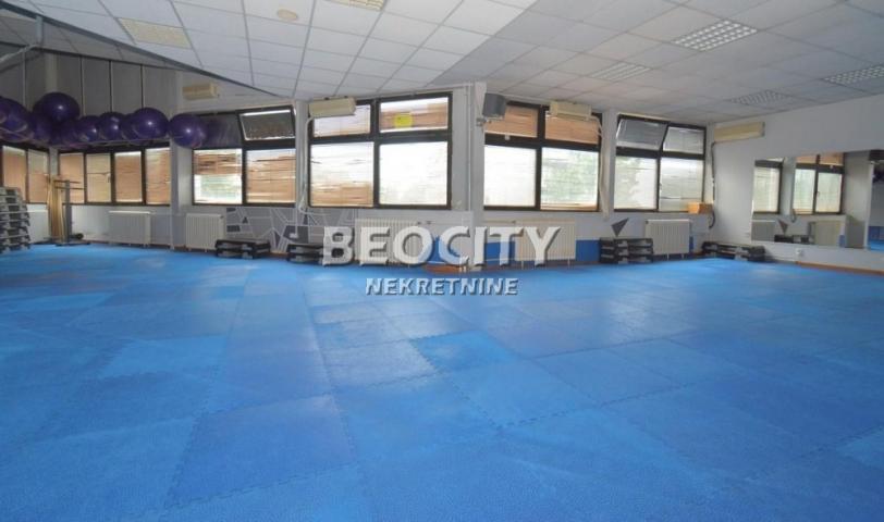 Čukarica, Banovo brdo, Požeška, 6.0, 273m2, 462000EUR