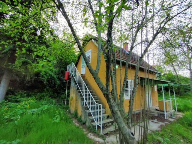 Vikend kuća 37m Fruška gora - Čerević, plac 886m za renoviranje  Mirna lokacija
