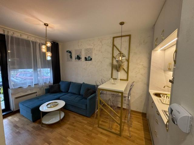 JEDNOIPOSOBAN APARTMAN NA ZLATIBORU