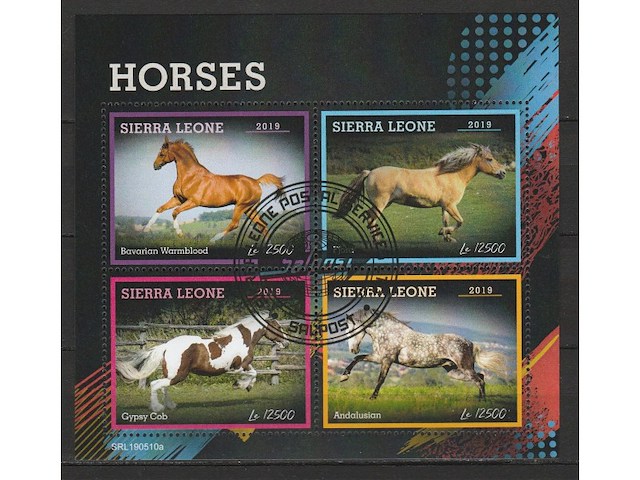 Sijera Leone - 2019 - Konji