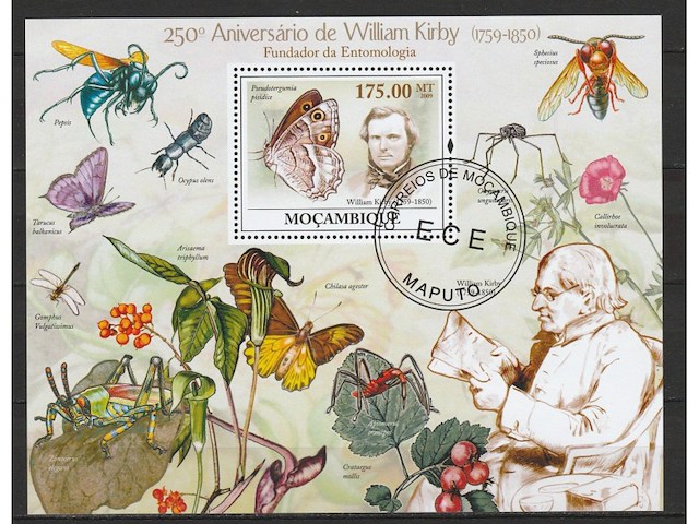 Mozambik-Entomologija, insekti, leptiri - William Kirby