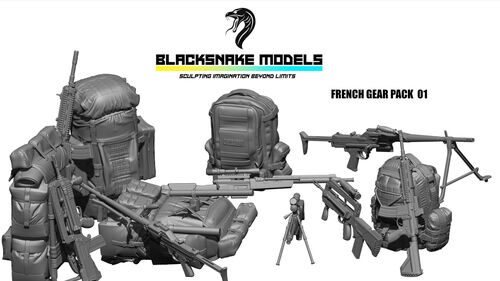 BlackSnake Model DS-04 French Accessory Pack – Equipment & Weapons Set 1