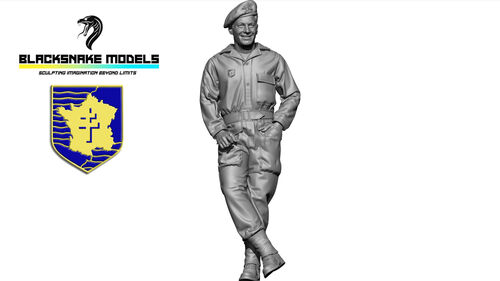 NEW! BlackSnake Model FFL-05-16 French WWII 2nd Armored Division (Leclerc Division) -Tank Driver (Soldier No.5 / 1 Figure)