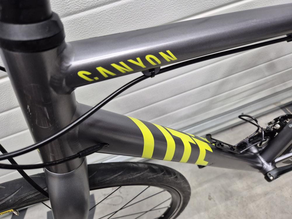 Canyon Roadlite R46 AL 6.0 Vel.L 105 TOP