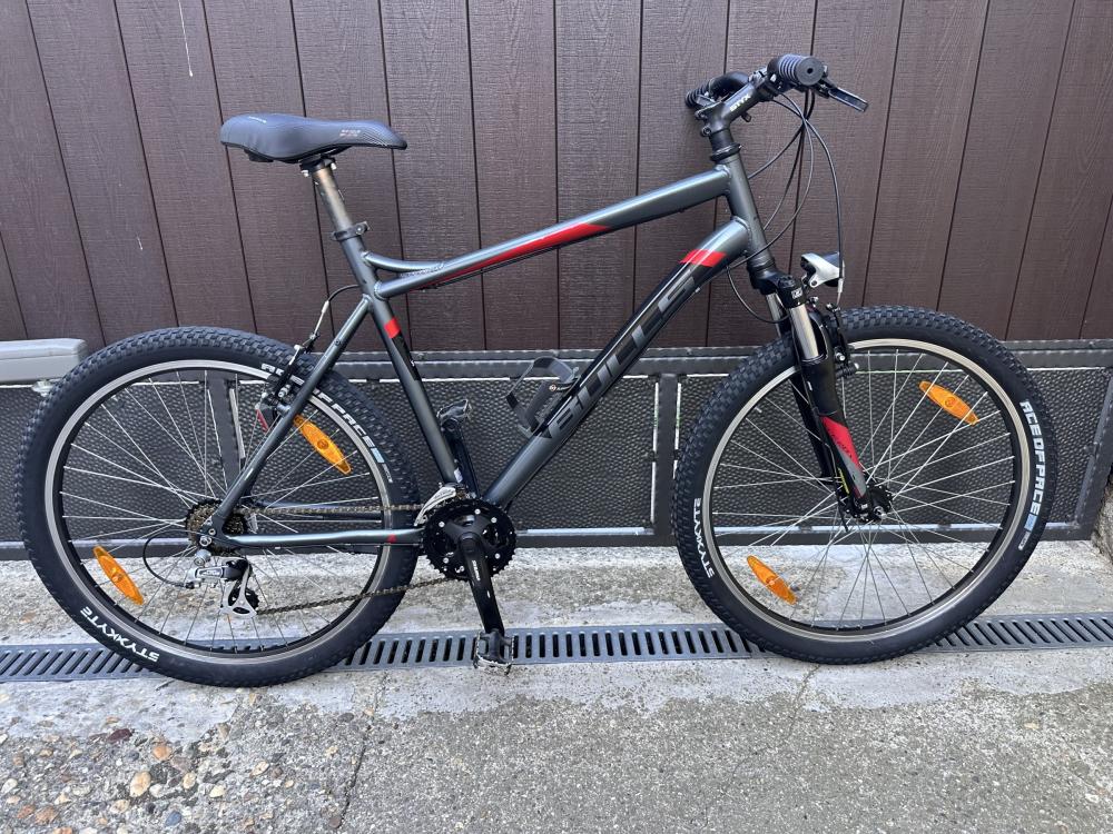 Bulls sharptail street 1