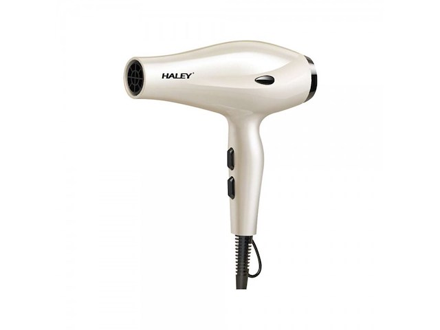 HALEY HY4023 FEN 2200W