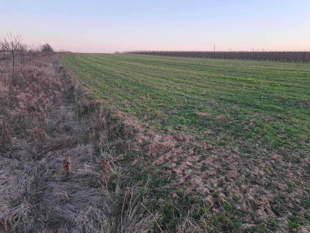 Građevinsko zemljište za Prodaja