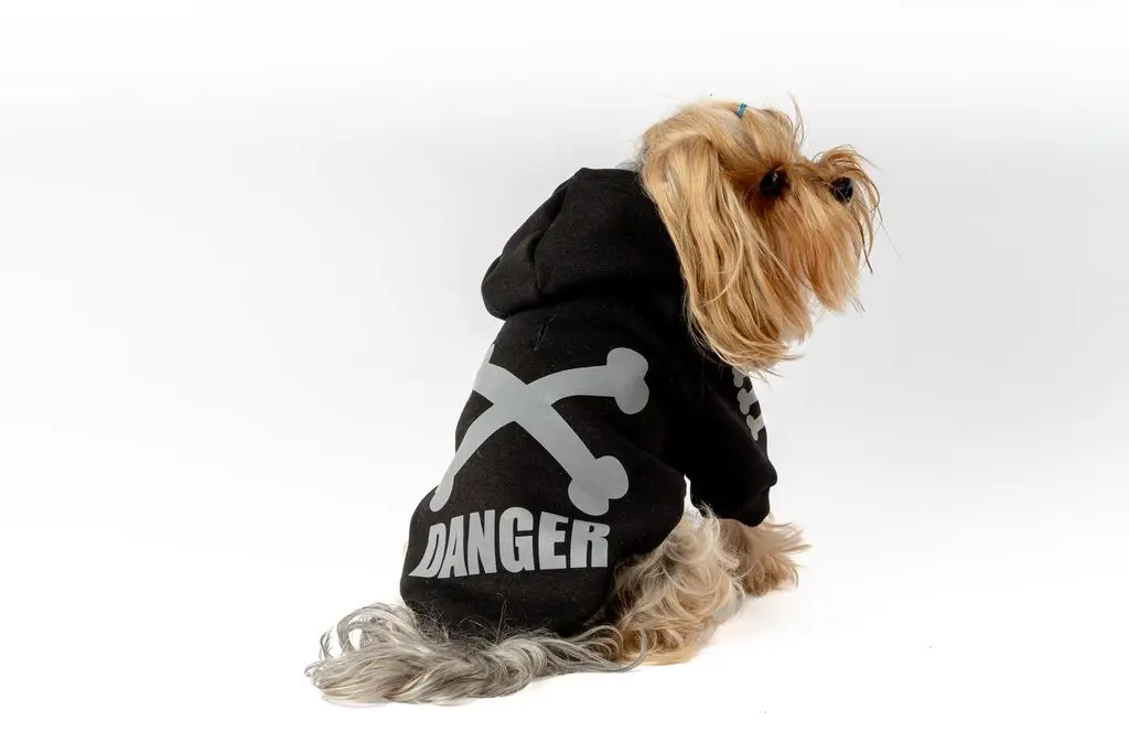 Paws & Whiskers Odelo za pse Danger Hoodie, Crno