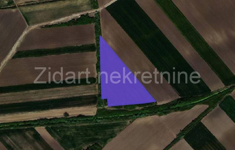 Poljoprivredno zemljište za Prodaja