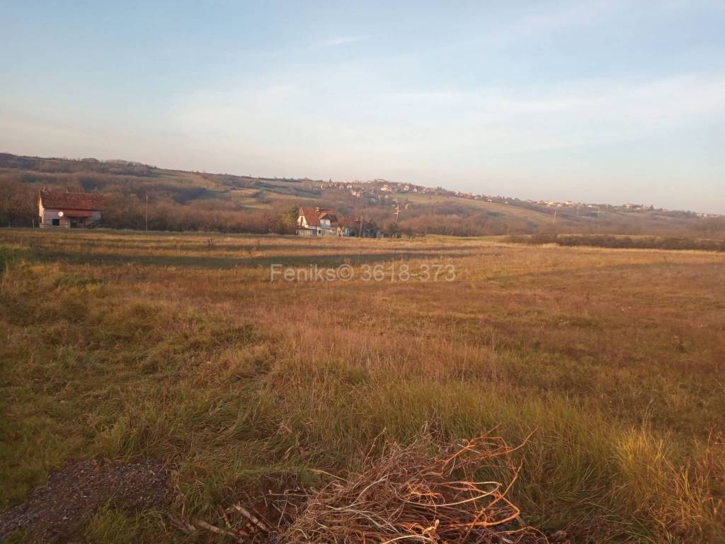Poljoprivredno zemljište za Prodaja