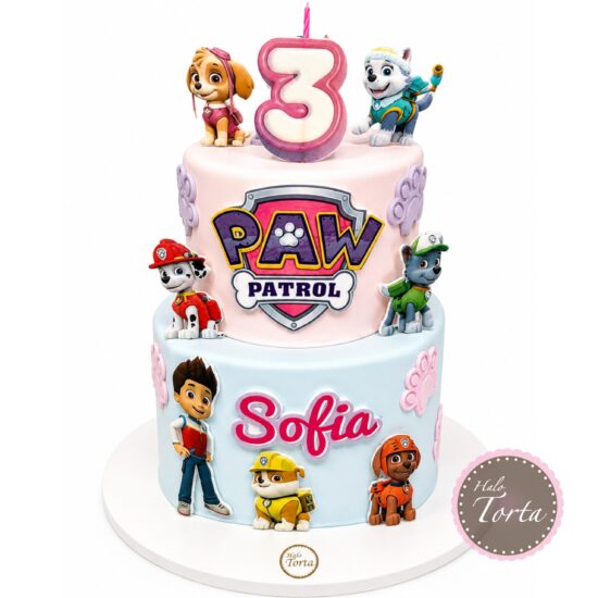 Skye & Friends torta (sa jestivim sličicama – NISU FIGURICE)
Skye & Friends torta