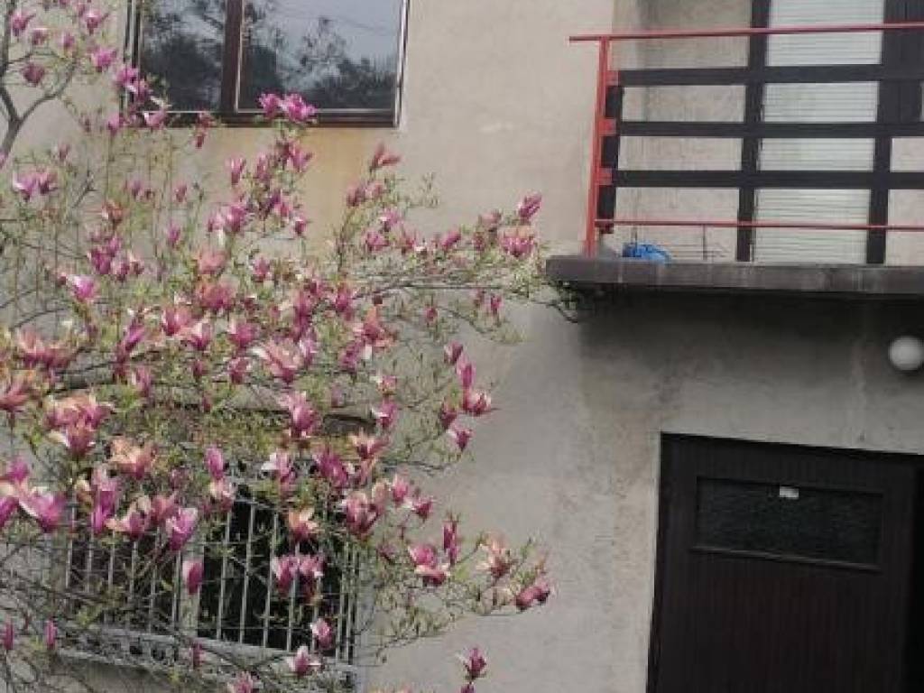 Samostalna porodična vila Petrovića Mihajlovića kraj 3, Draževac - Konatice, Beograd