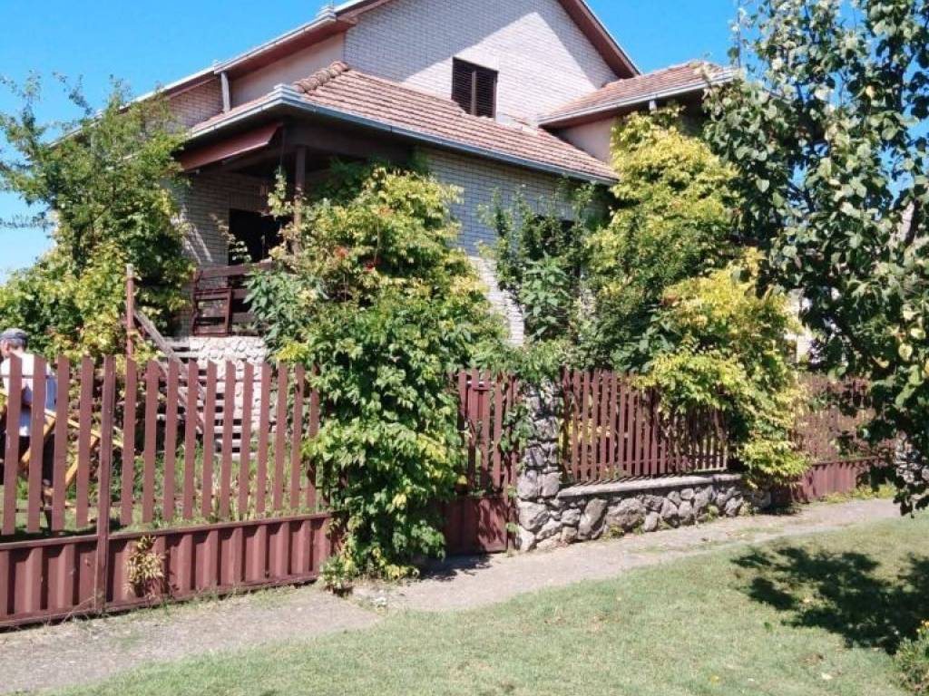 Samostalna porodična vila Nikole Pasica, Alibunar