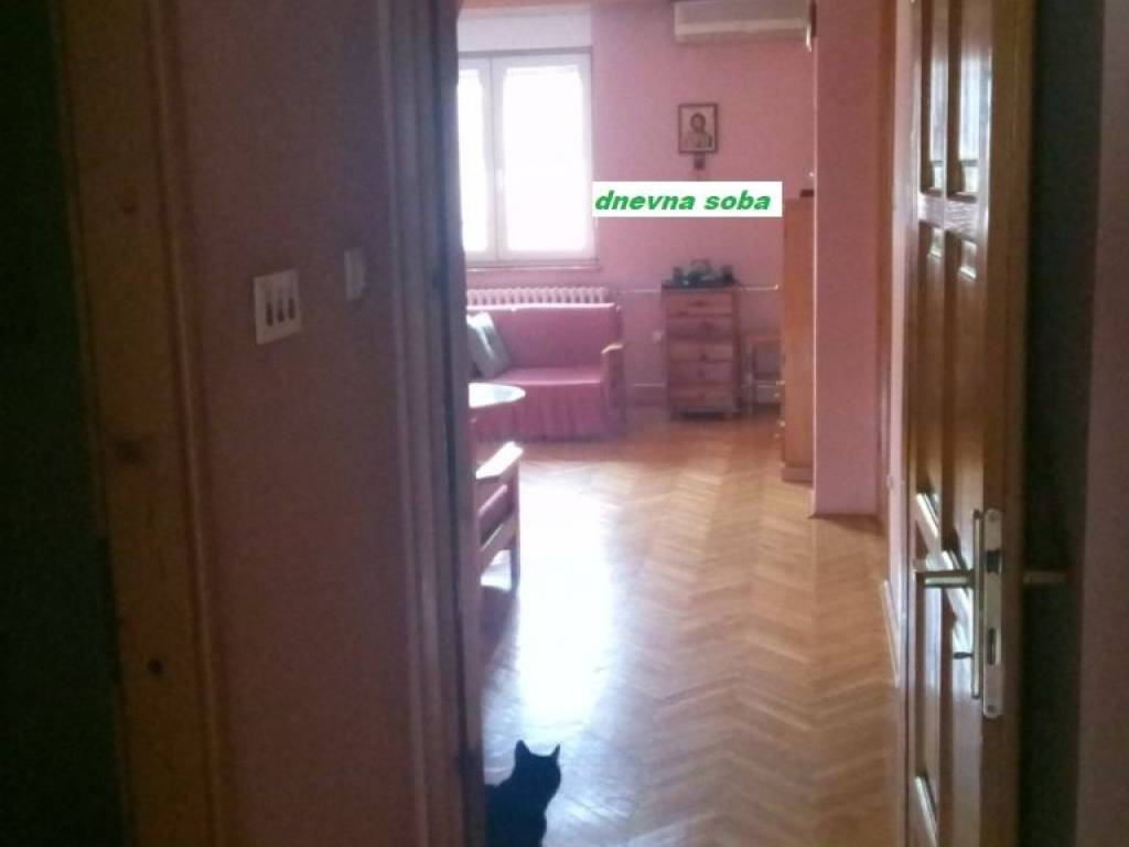 Četvorosobni stan Marka Miljanova, Kej, Novi Sad