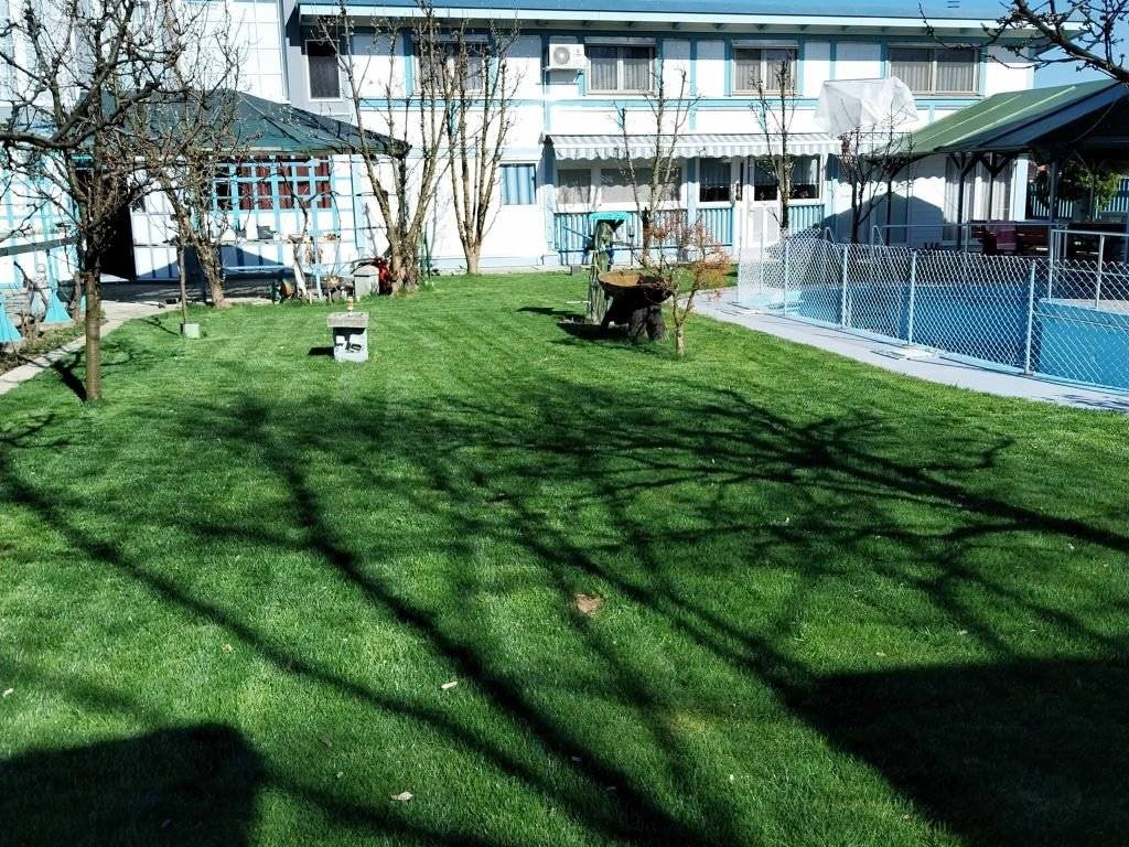 Samostalna porodična vila Starina novaka, Žiča, Kraljevo