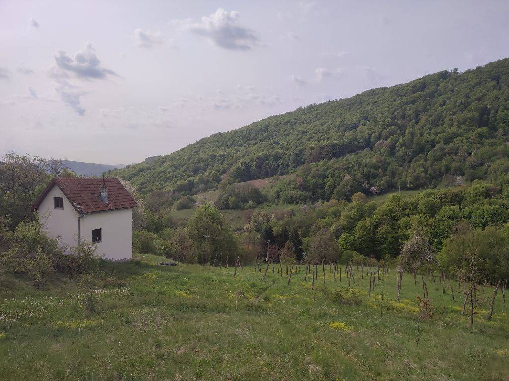 Poljoprivredno zemljište za Prodaja