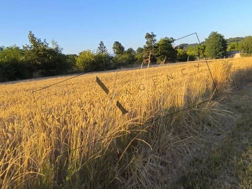 Poljoprivredno zemljište za Prodaja