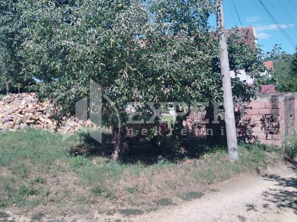 Poljoprivredno zemljište za Prodaja