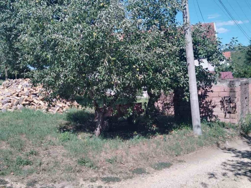 Poljoprivredno zemljište za Prodaja