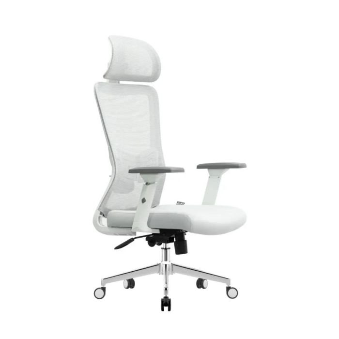 Ergonomska kancelarijska stolica UGD Silver Polare