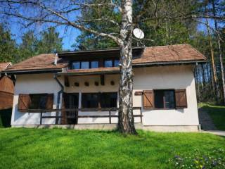 Samostalna porodična vila -, Čajetina