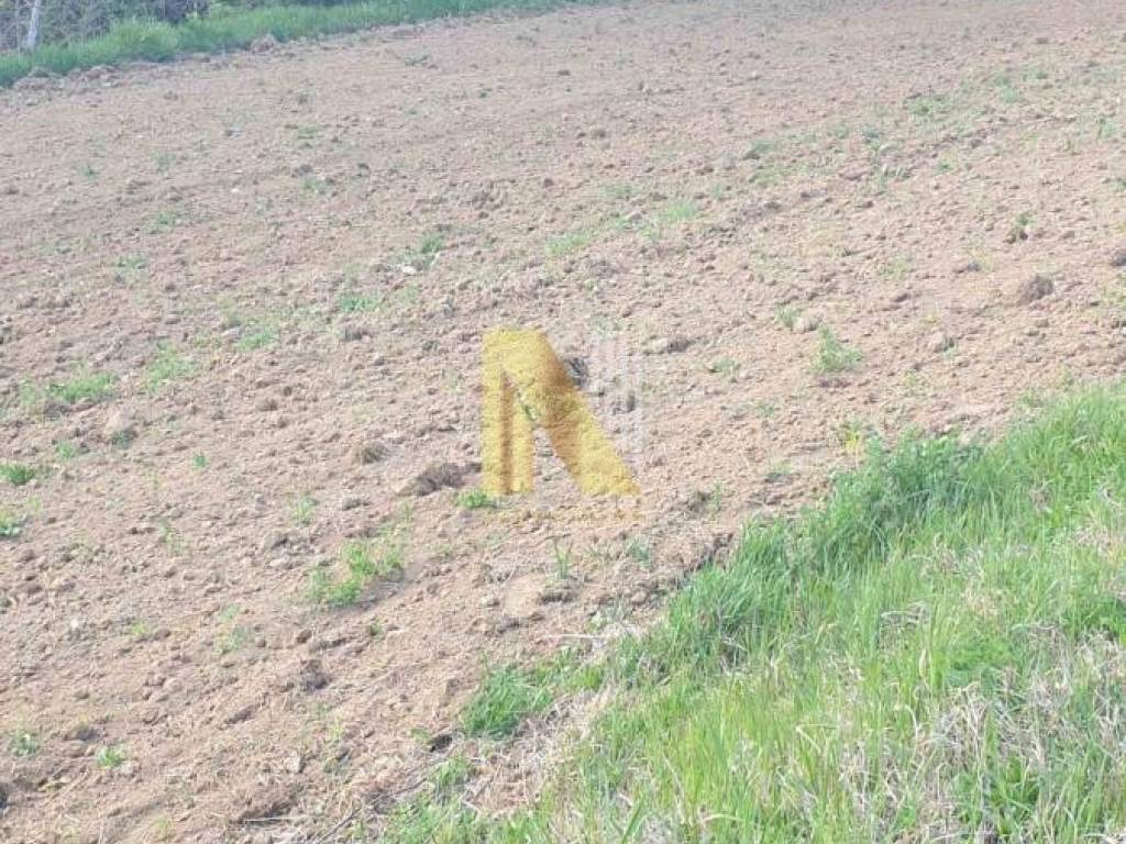 Građevinsko zemljište za Prodaja